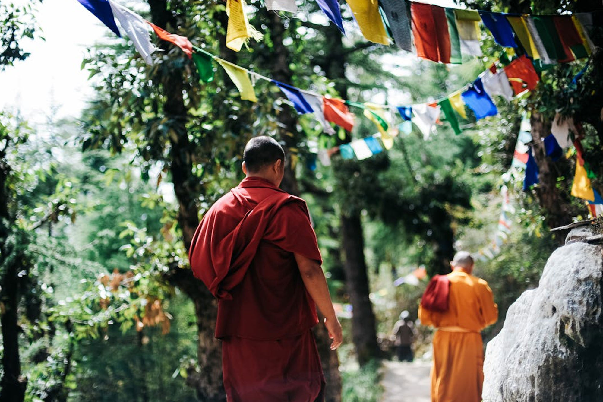 Cómo aplicar el Noble Óctuple Sendero en la vida diaria. - BareFootic